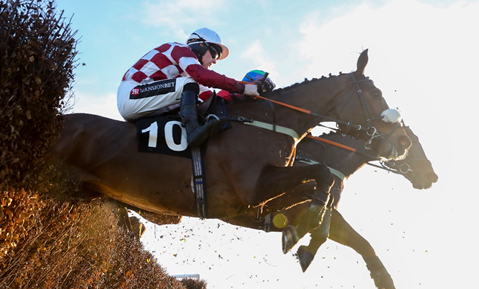 Cheltenham Festival 2025 in focus: competing with content - EGR Intel