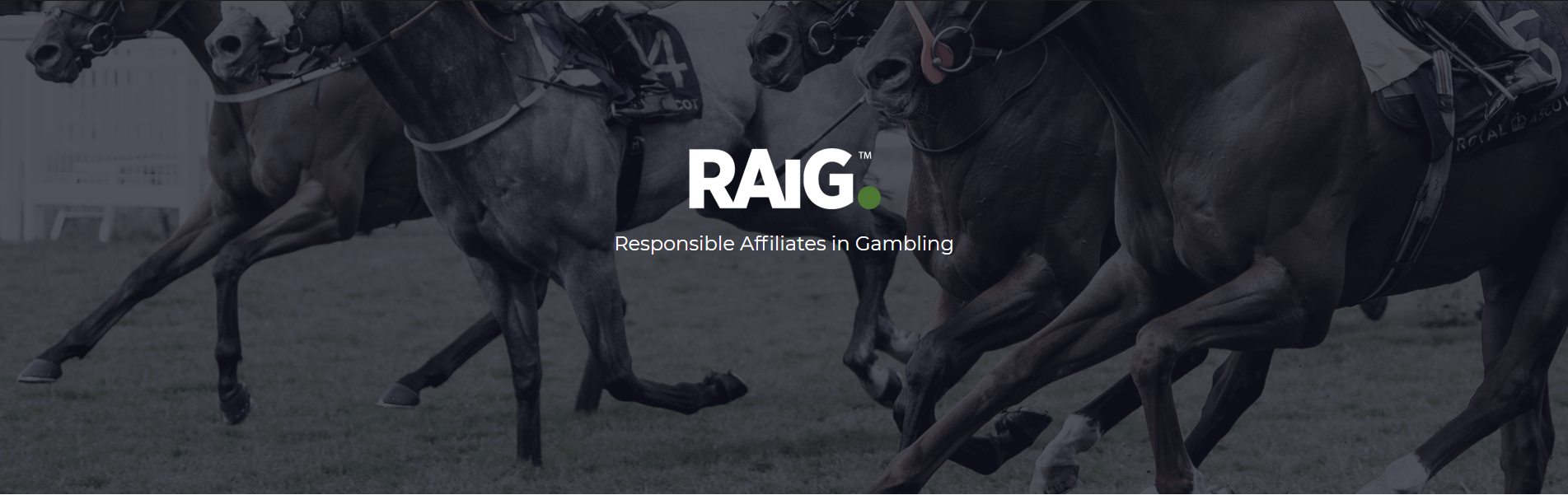 RAIG names Racing Post’s Cian Nugent as new chairman - EGR Intel